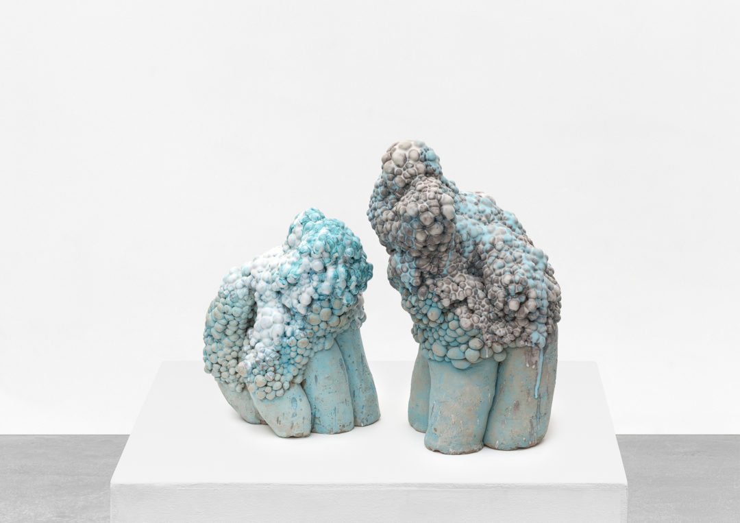 Chien Bleu, 2001 - Elsa Sahal